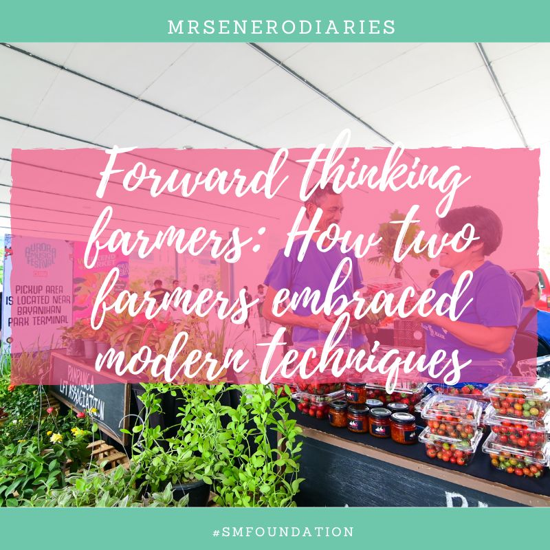 Forward thinking farmers: How two farmers embraced modern techniques ...